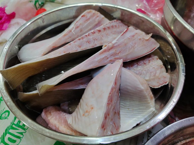 Kenapa Ikan Pari Bau Hancing? Ini Tips Penting Supaya Tak Salah Pilih