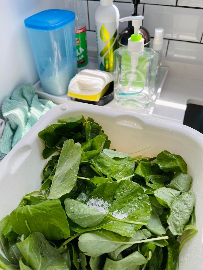 Cara Cuci Buah & Sayur Yang Betul, Kena Guna Bahan Ini