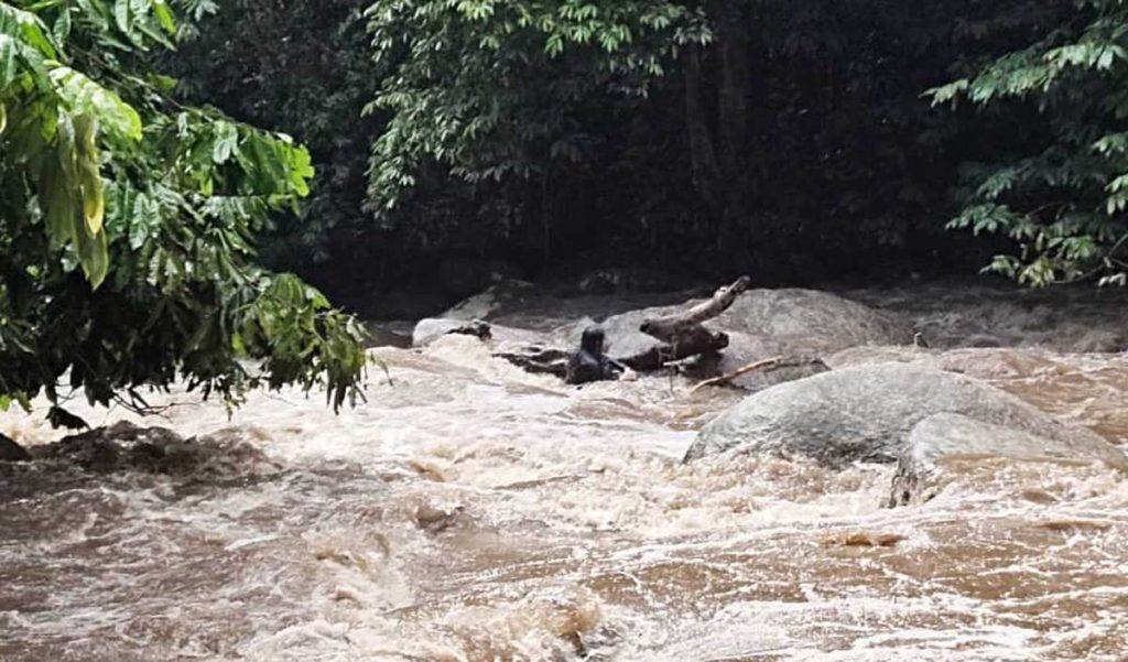 3 Sungai Hotspot Lemas & Kepala Air Di Hulu Selangor, Hati-Hati!