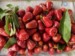 Jenis Buah Jambu Yang Tak Pernah Anda Tahu, Jom Kenali!