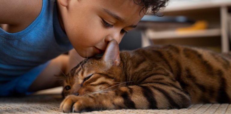 Bukan Setakat Comel, Ini Manfaat Jaga Kucing Anda Kena Tahu