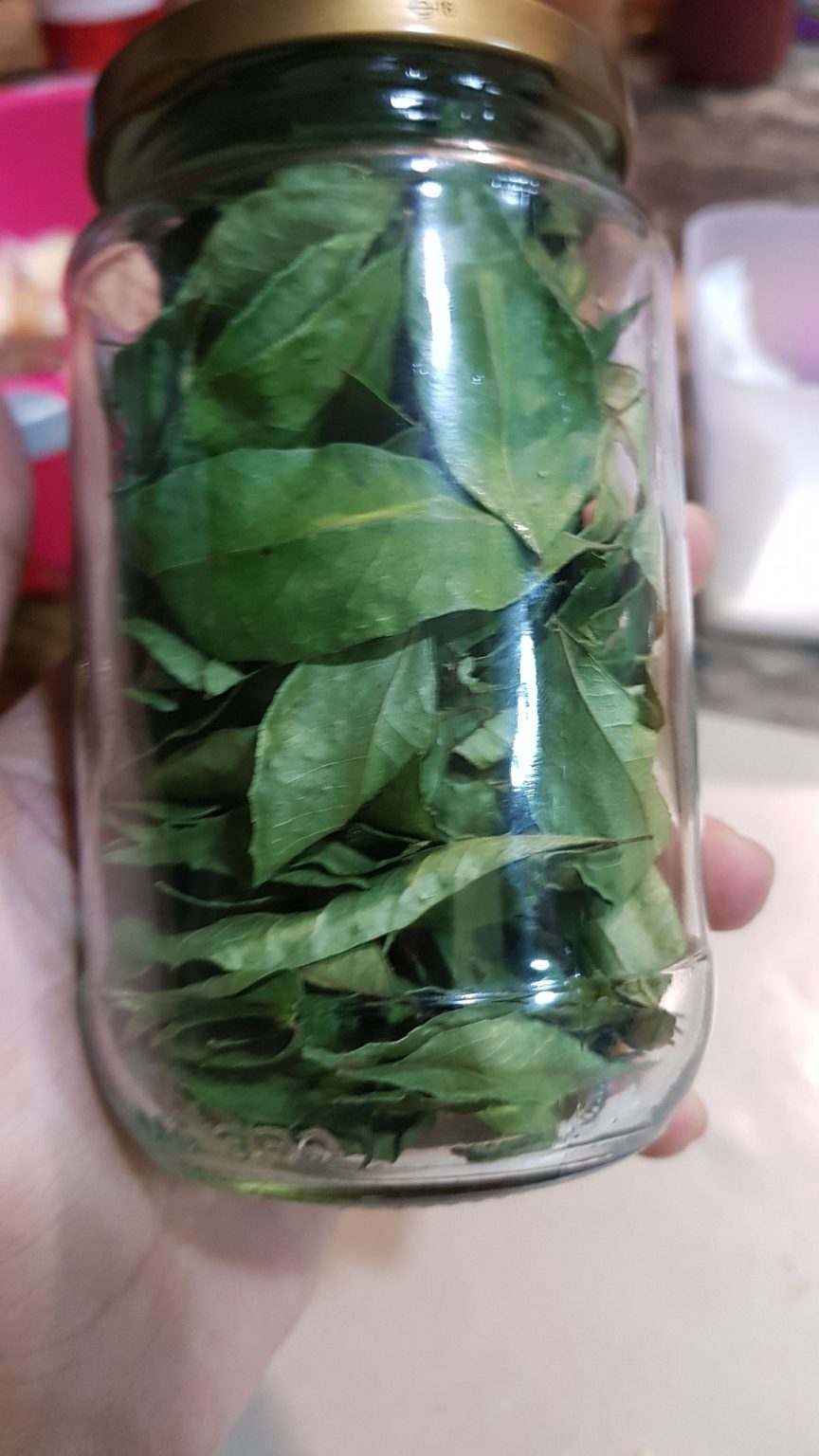 Cara Paling Mudah Simpan Daun Kari, Tahan Berbulan-Bulan & Tetap Wangi!