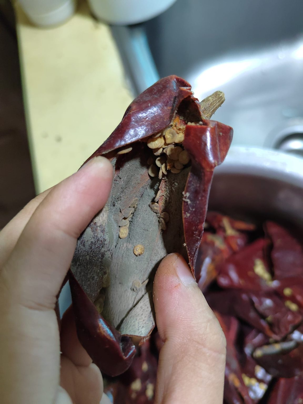 Cili Kering Gemuk Jenis Ini Selalu Banyak 'Habuk', Hati-Hati