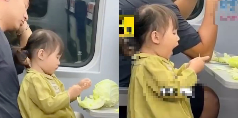 Kubis Bulat Tarik Perhatian Si Kecil Dalam Kereta Api
