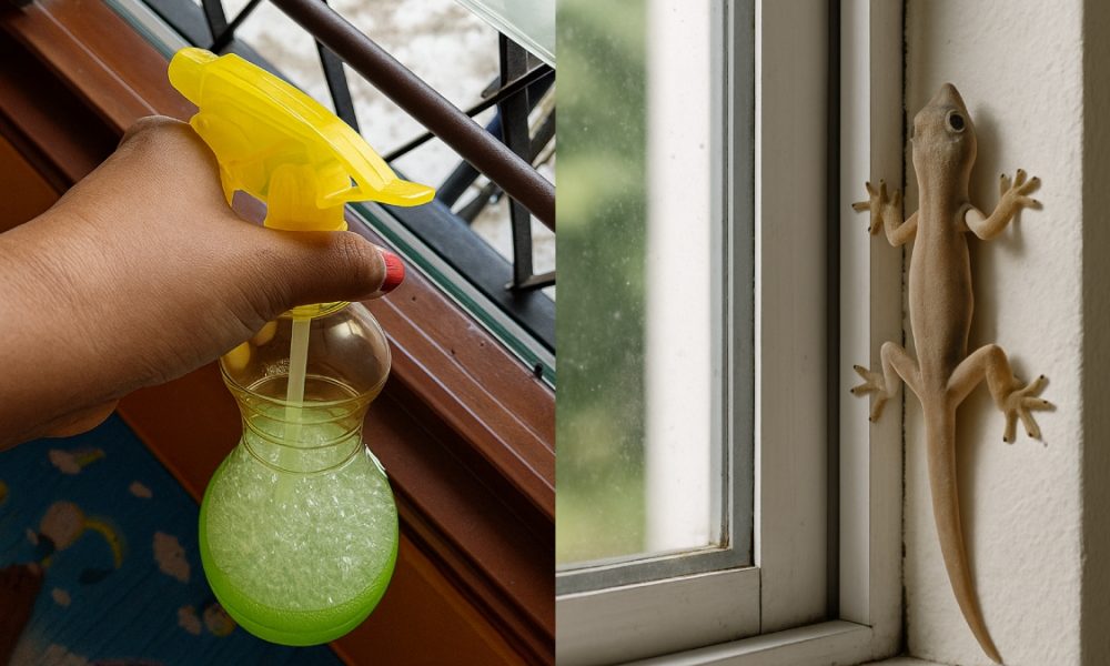 13 Cara Halau Cicak Di Rumah, Mudah Je Rupanya!