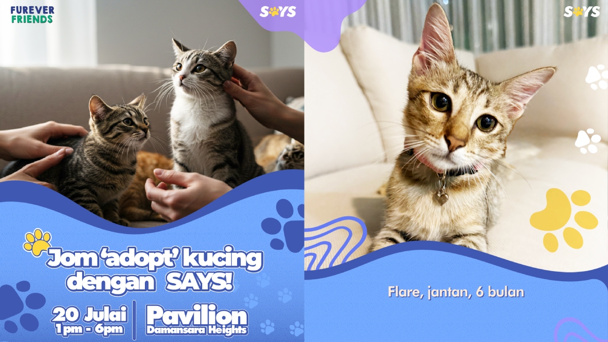 Kempen Furever Friends Ajak Masyarakat Adopsi Si Bulus Comel