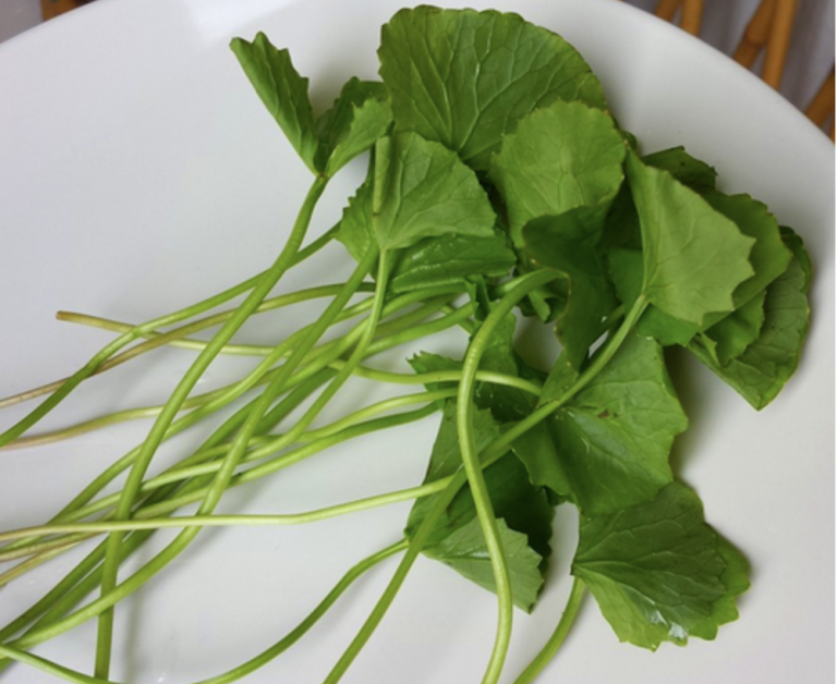 15 Jenis Sayur Kampung Wujud Di Malaysia, Sedap & Murah!