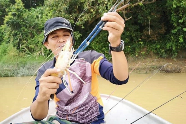 Pantang Larang Mengail Udang Galah Kaki Pancing Perlu Tahu!