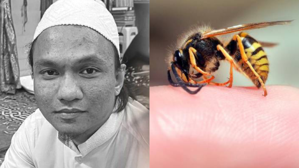 Disengat Tebuan, Bakal Pengantin Maut Ketika Bersihkan Rumah
