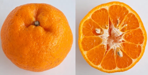 Jenis Buah Limau Mandarin Popular & Cara Pilih Yang Manis!