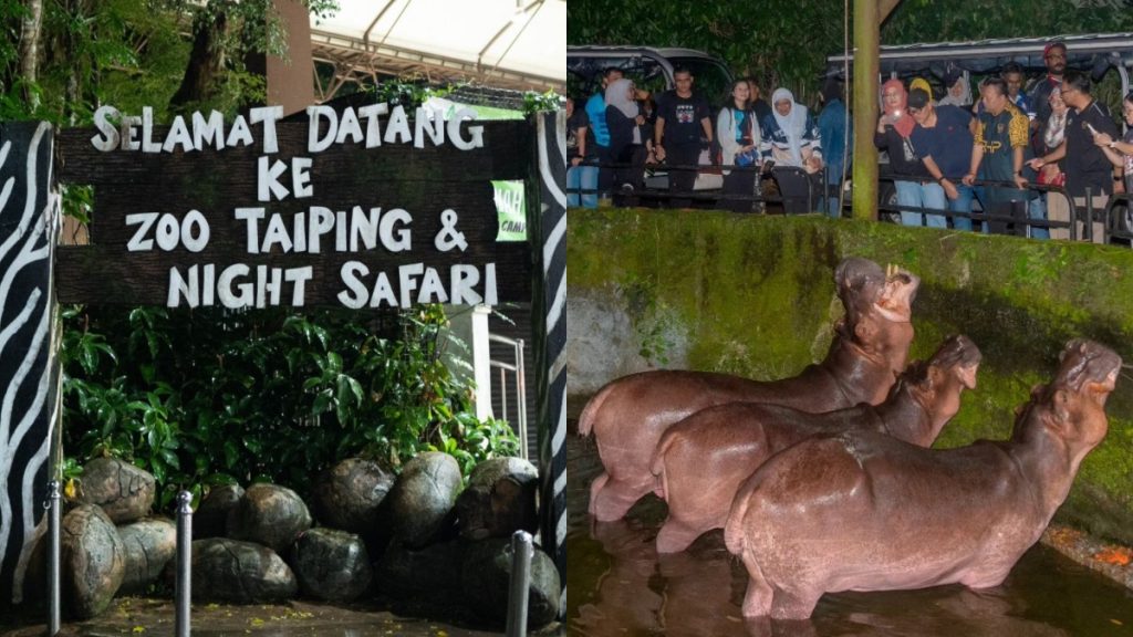 Harga Tiket Zoo Taiping & Night Safari Baru, Mula 15 Mac Ini