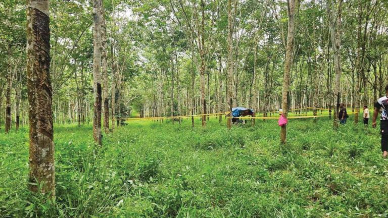 Mayat Ayah Ditemui Di Kebun Getah, Hilang Selama 11 Hari